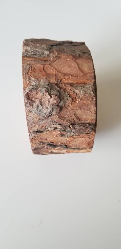 Vintage Cuss Box / Yosemite Souvenir / Piggy Bank