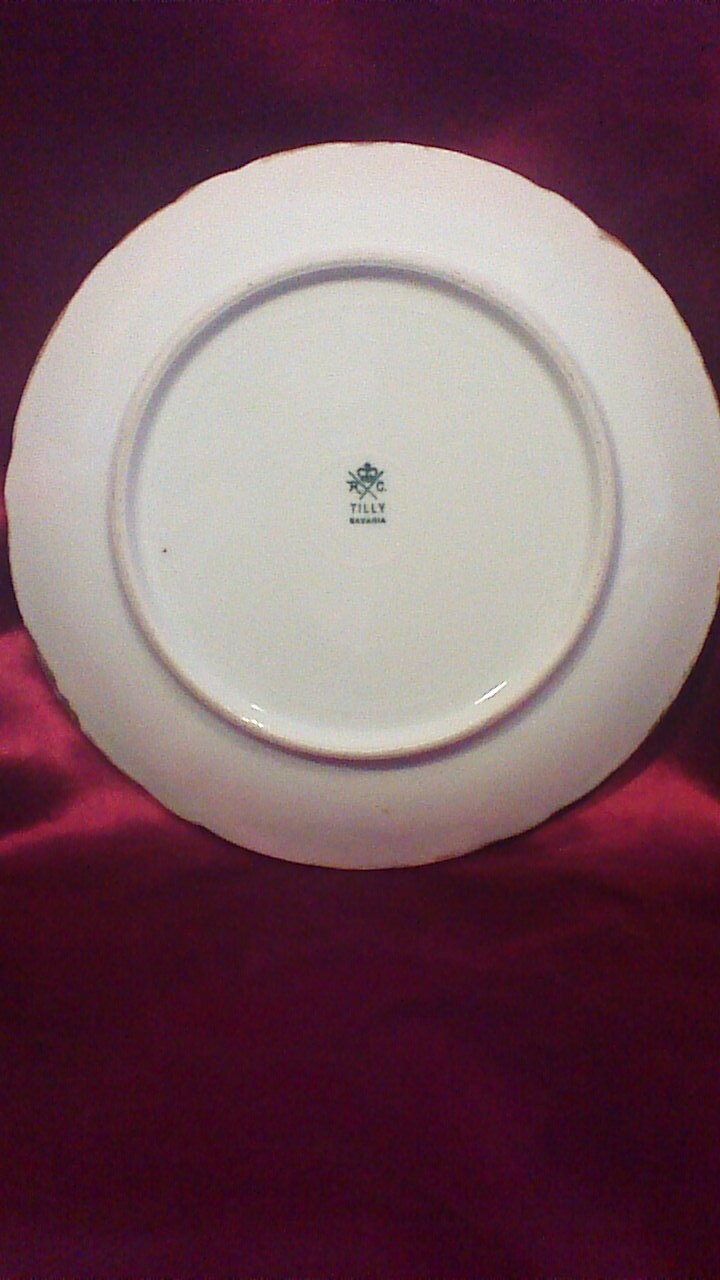 Strawberry Vine Hand painted Signed Bavarian R C Tilly Plate