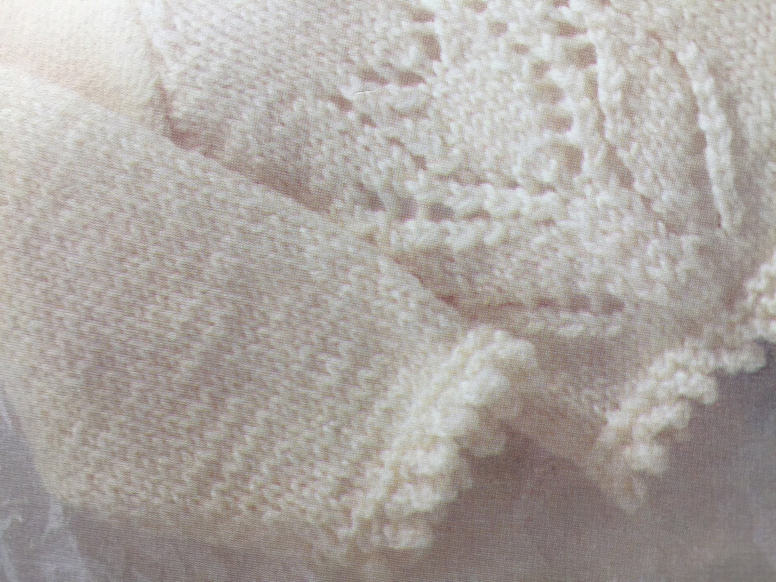 Baby Cardigan TULIP Lace Sweater PDF Knit Pattern 6 Mo 2 Yr. | Etsy