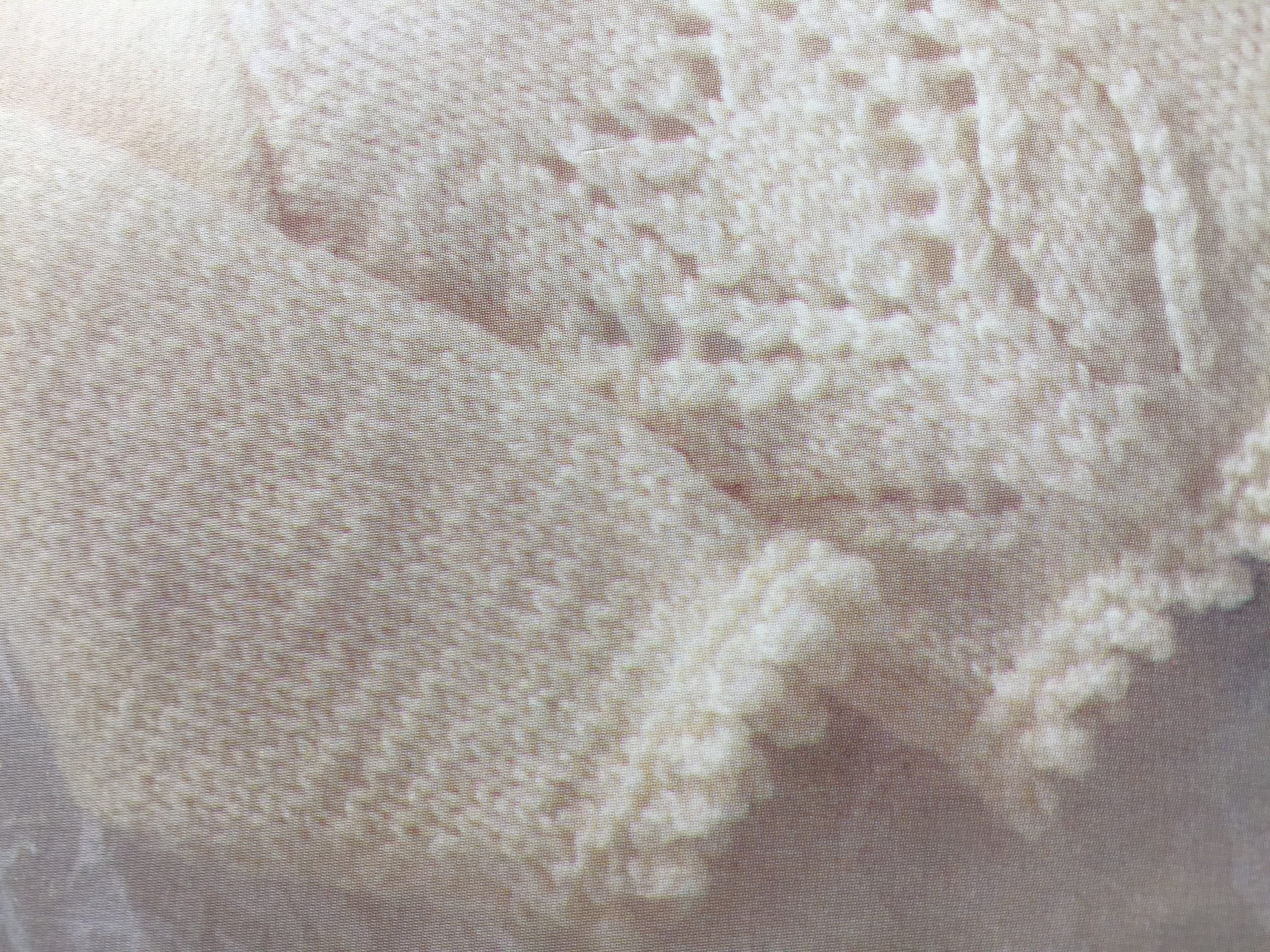 Baby Cardigan TULIP Lace Sweater PDF Knit Pattern 6 Mo 2 Yr. | Etsy