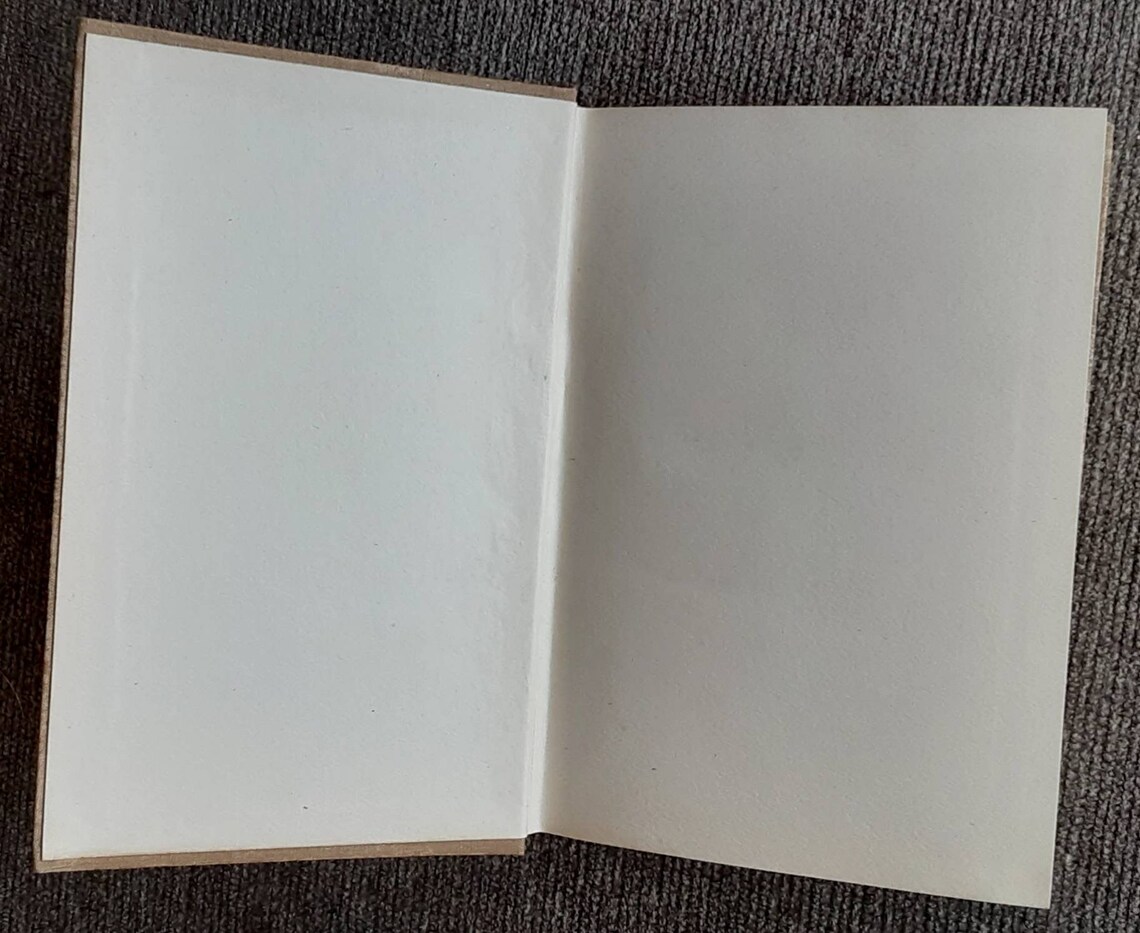 Alger Risen From the Ranks the Story of Harry Walton's - Etsy