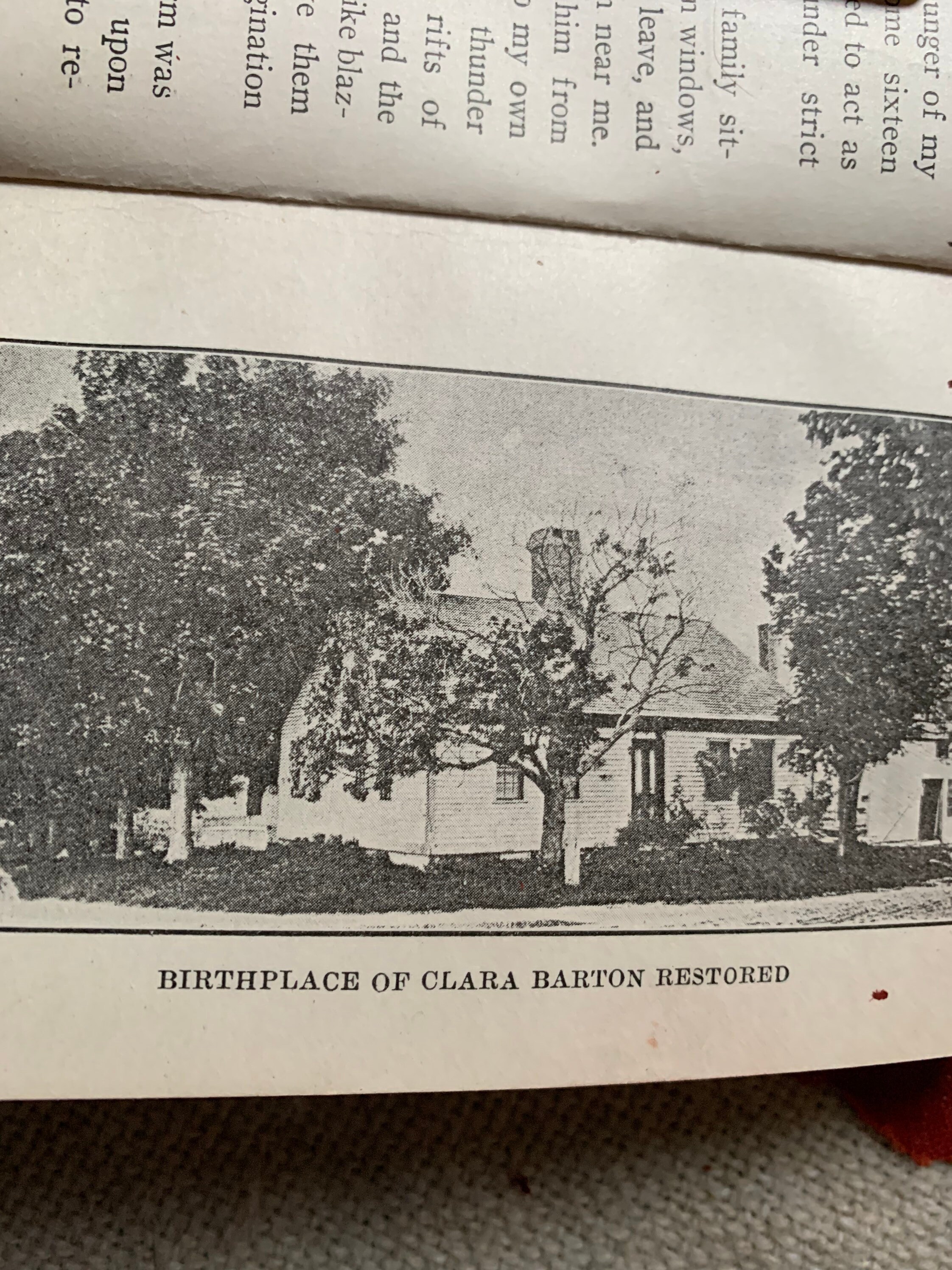 Clara Bartons Family Tree