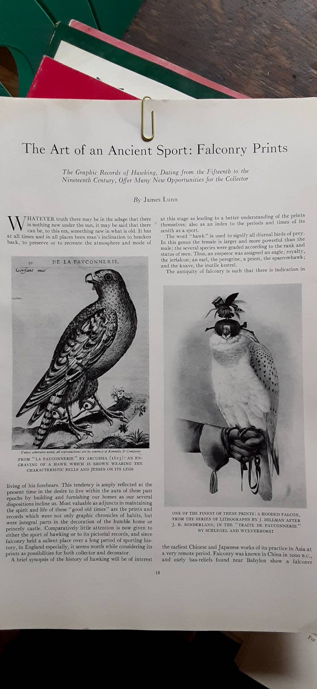 FALCONRY and HAWKING Prints. Art of an Ancient Sport. Antiquarian ...