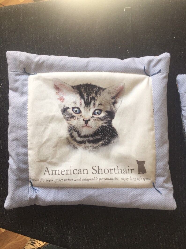 AMERICAN SHORTHAIR Cat Theme 10 Inch Quilted Hot Mat, Felted Wool ...