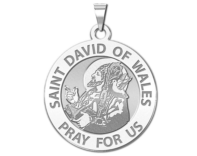 St David Pewter Medal 1 Saint Pendant W/ 24 Stainless Steel Chain - Etsy