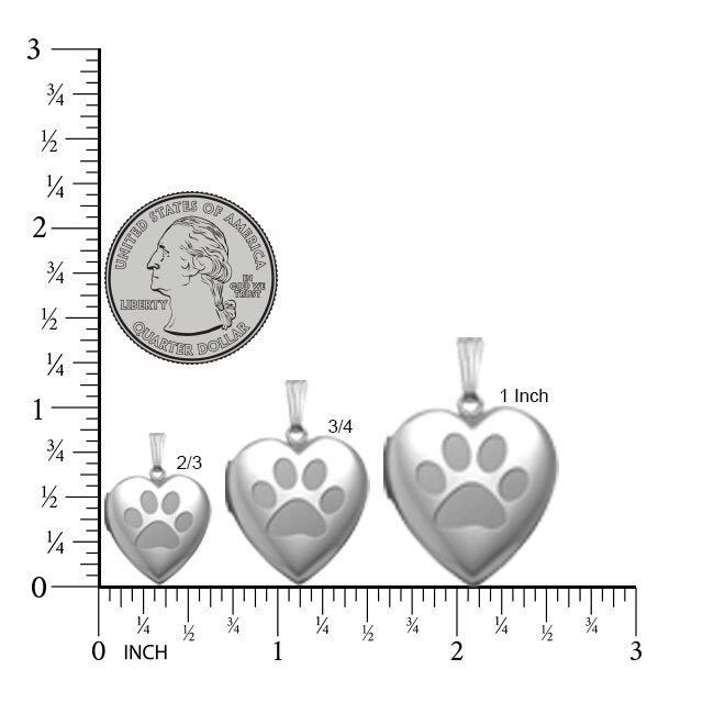 Paw Print Locket Paw Locket Locket With Paw Paw Print | Etsy