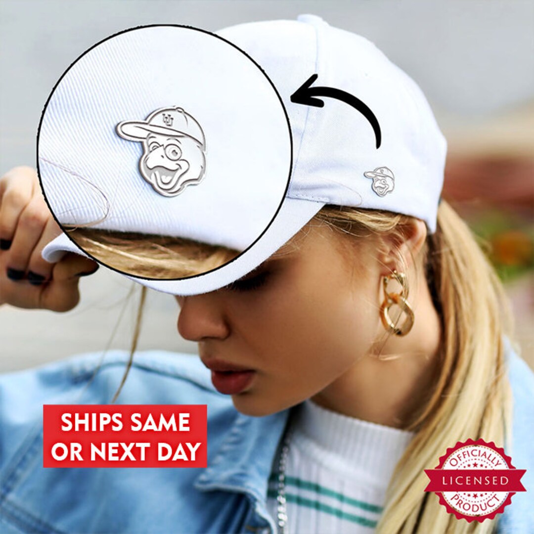 Swoop the Red-tailed Hawk Pin - Etsy