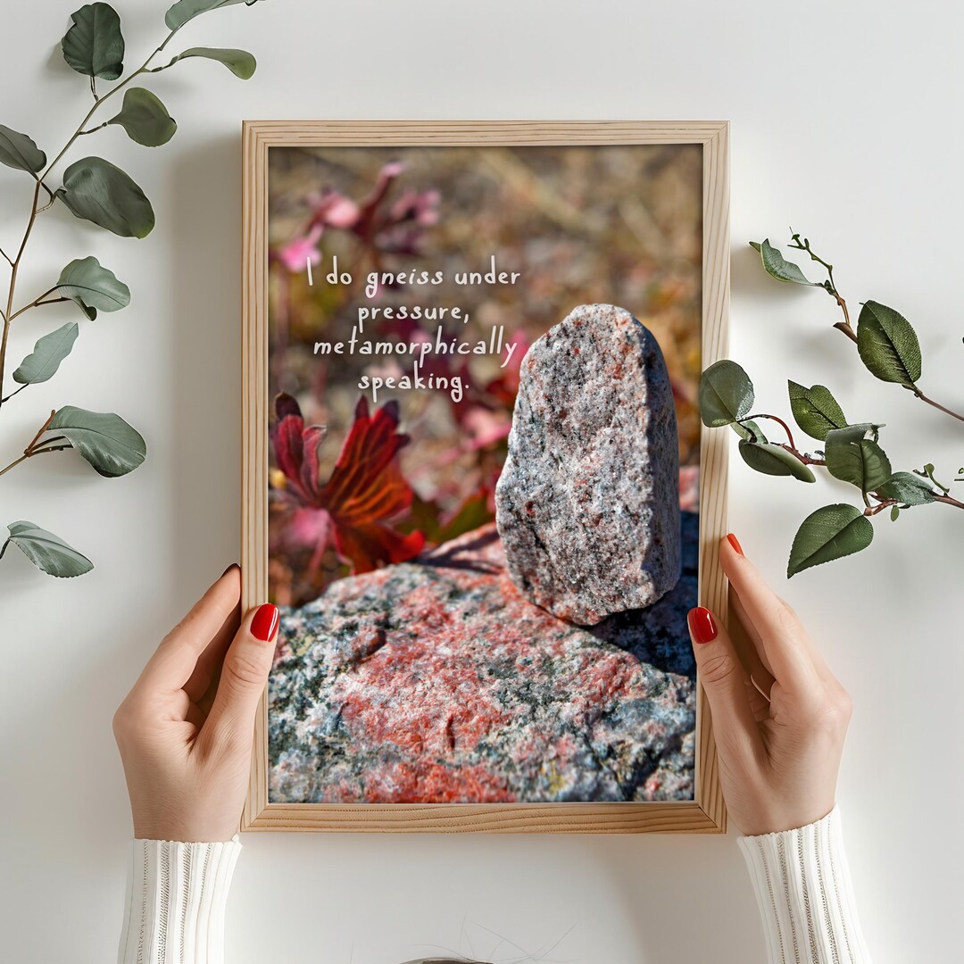 Geology Pun Poster: Gneiss Rock Art Print - Etsy