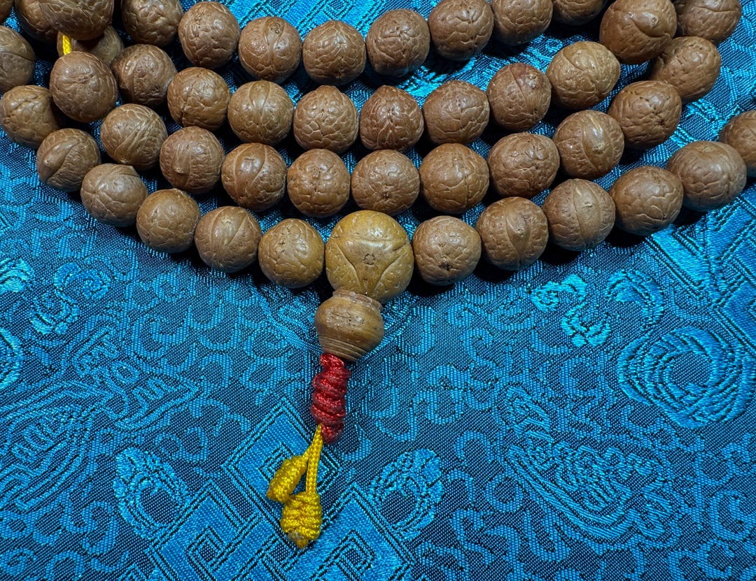 Authentic Timal Bodhi Seed Mala - Bodhi Seed Guru Bead - 11.5mm to 12mm ...