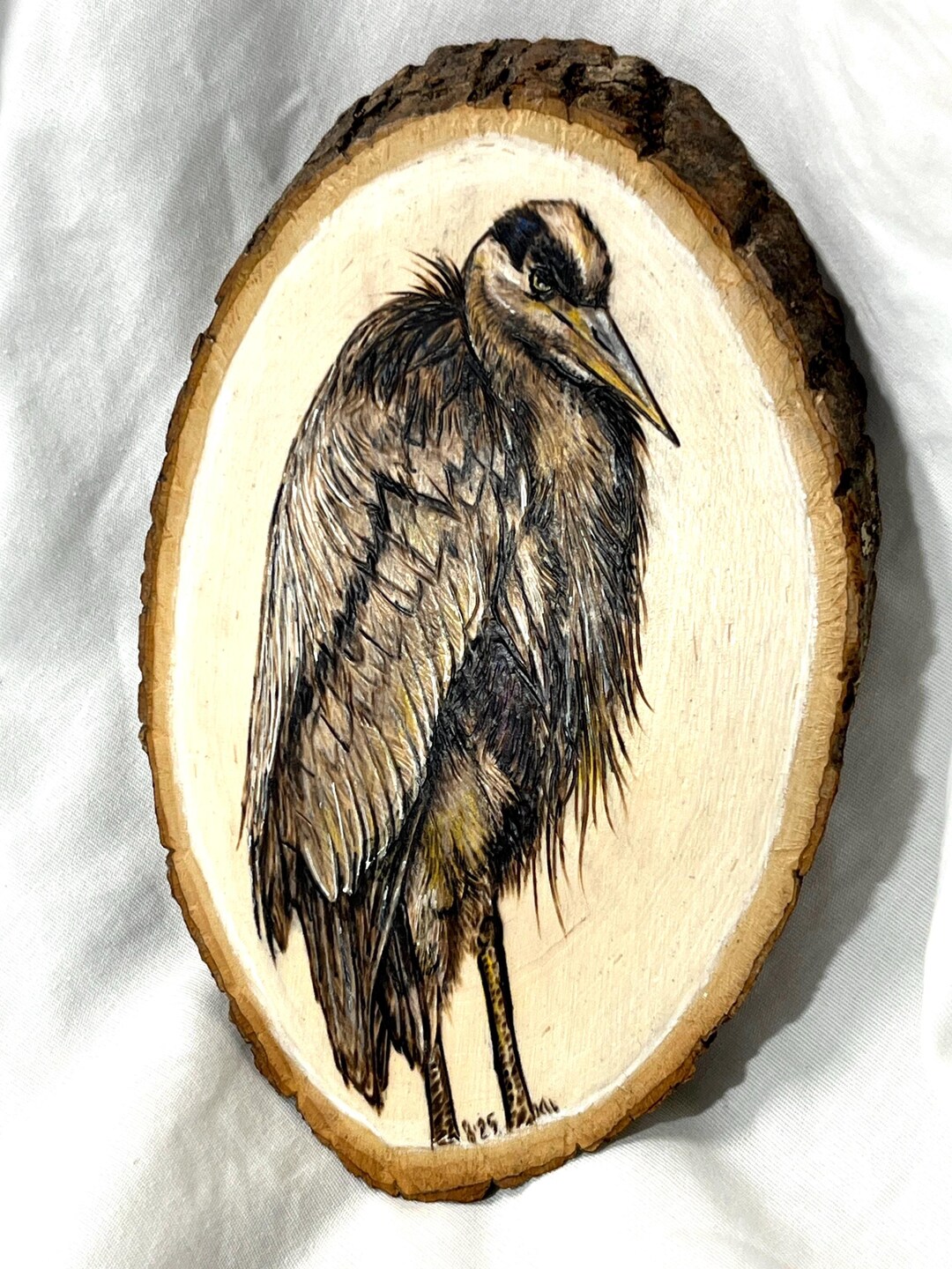 Great Blue Heron Portrait, Wood Burned Pyrography on Live Edge Basswood ...