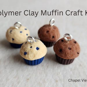 Make Your Own Miniature Muffin Craft Kit. - Etsy