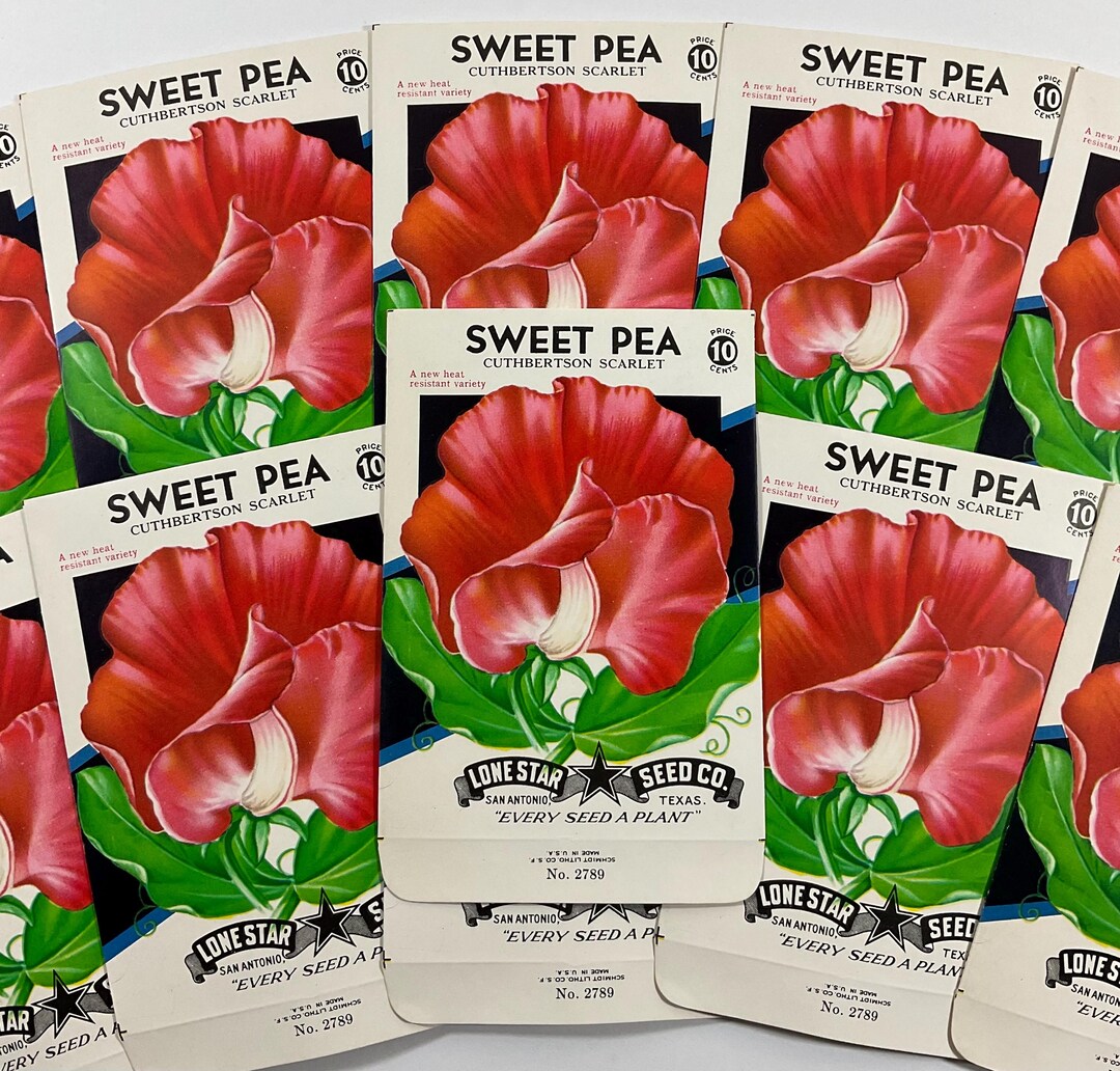 Lot of 5 Scarlet Sweet Pea Floral Flower Vintage Unused 10 Cents Empty ...