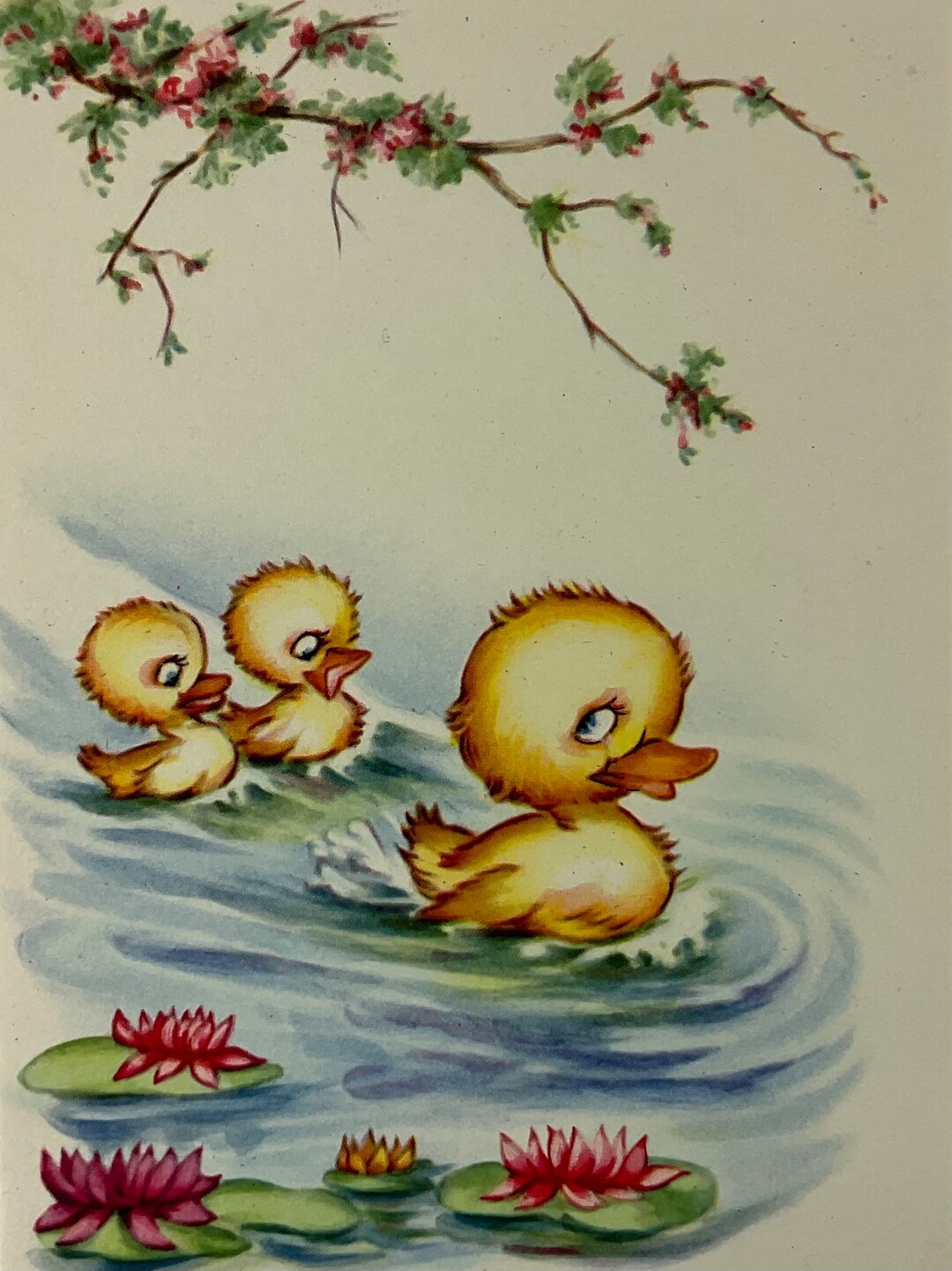 3 Adorable Little Ducks Ducklings Swimming Amongst Lillypads Vintage ...