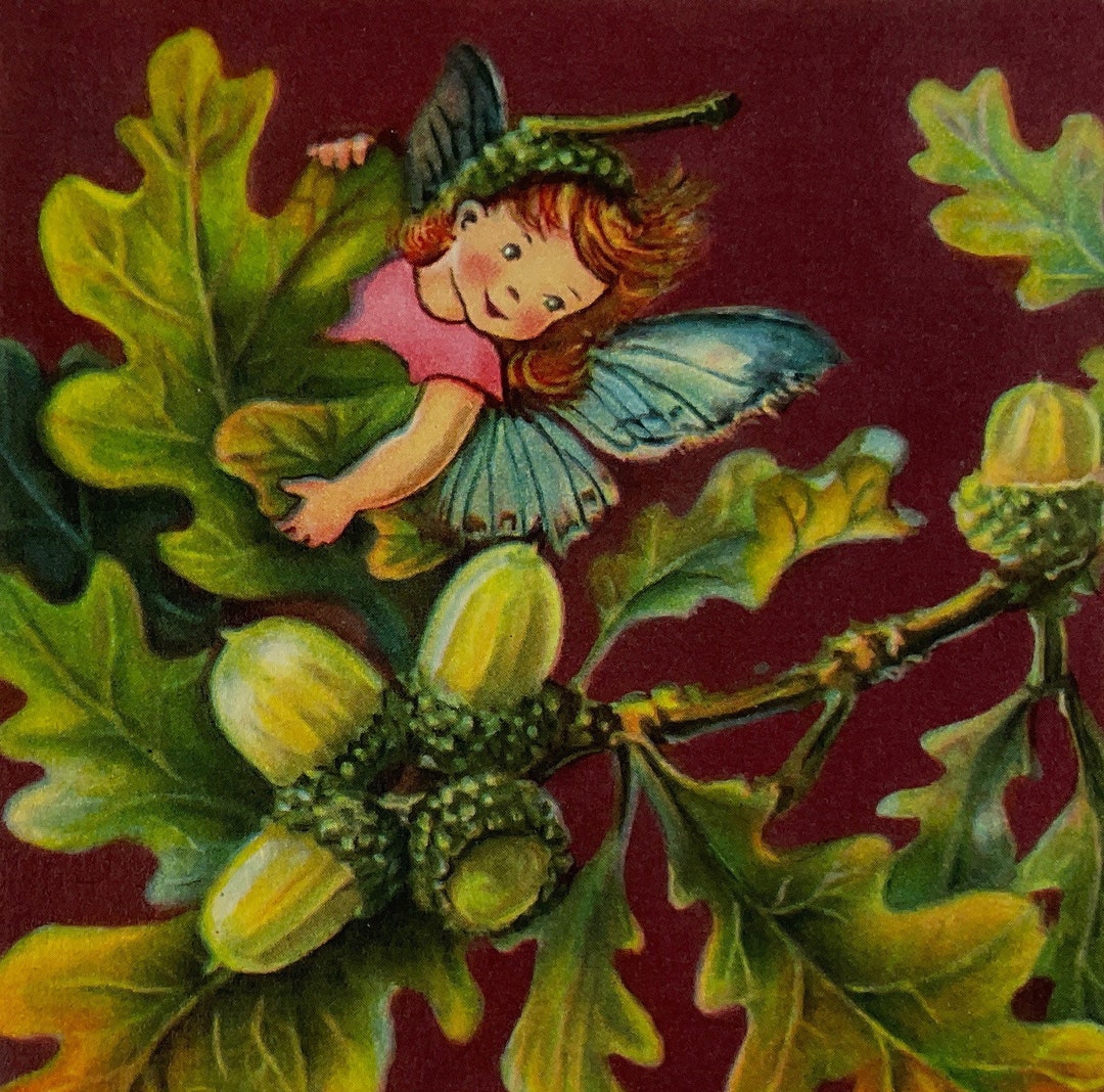 Anthro Anthropomorphic Butterfly Wing Acorn Hat Cherub Nymph - Etsy