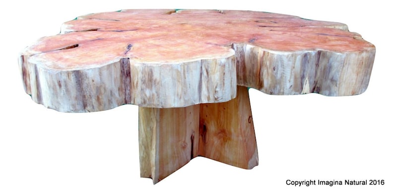 Large Cypress Handmade Tree Slice Slab Coffee Table - Rustic Chilean ...