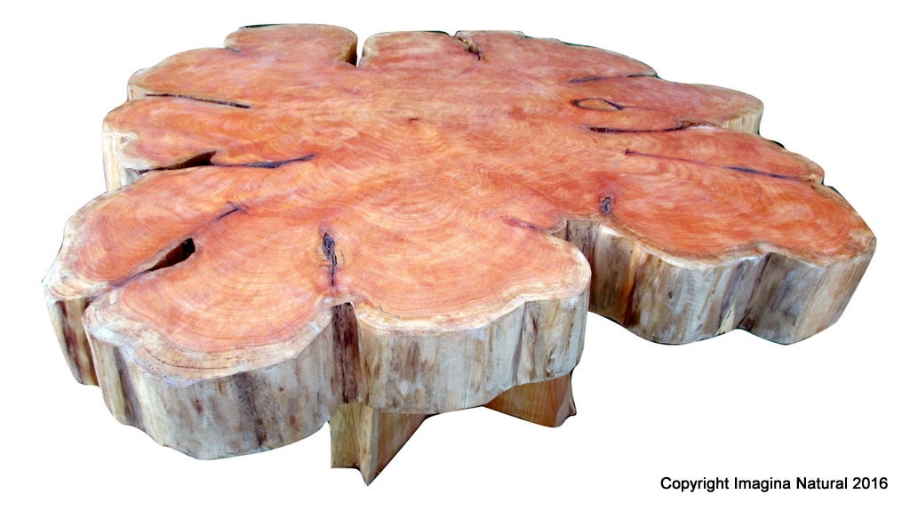 Large Cypress Handmade Tree Slice Slab Coffee Table - Rustic Chilean ...