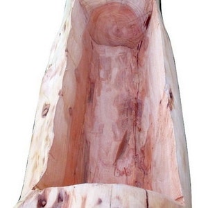 Giant Hand Carved Tree Trunk Wooden Bowl, Carved From a Tree Trunk ...