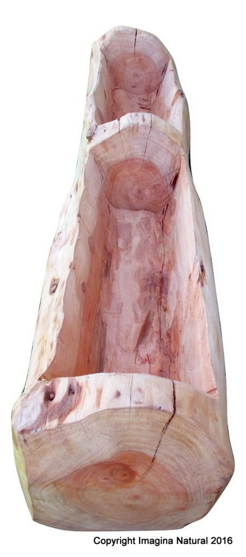 Giant Hand Carved Tree Trunk Wooden Bowl, Carved From a Tree Trunk ...