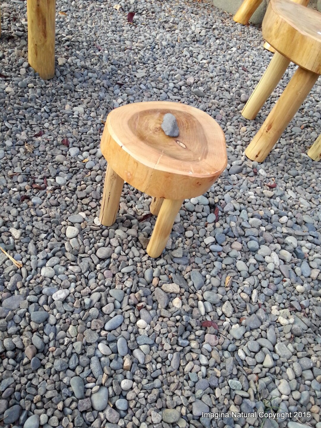 Childrens Stool / Mini Table Naturally Unique Cypress Tree Trunk ...