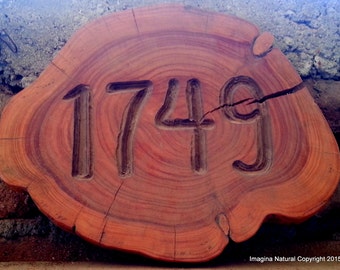 Tree Trunk Plate - Etsy