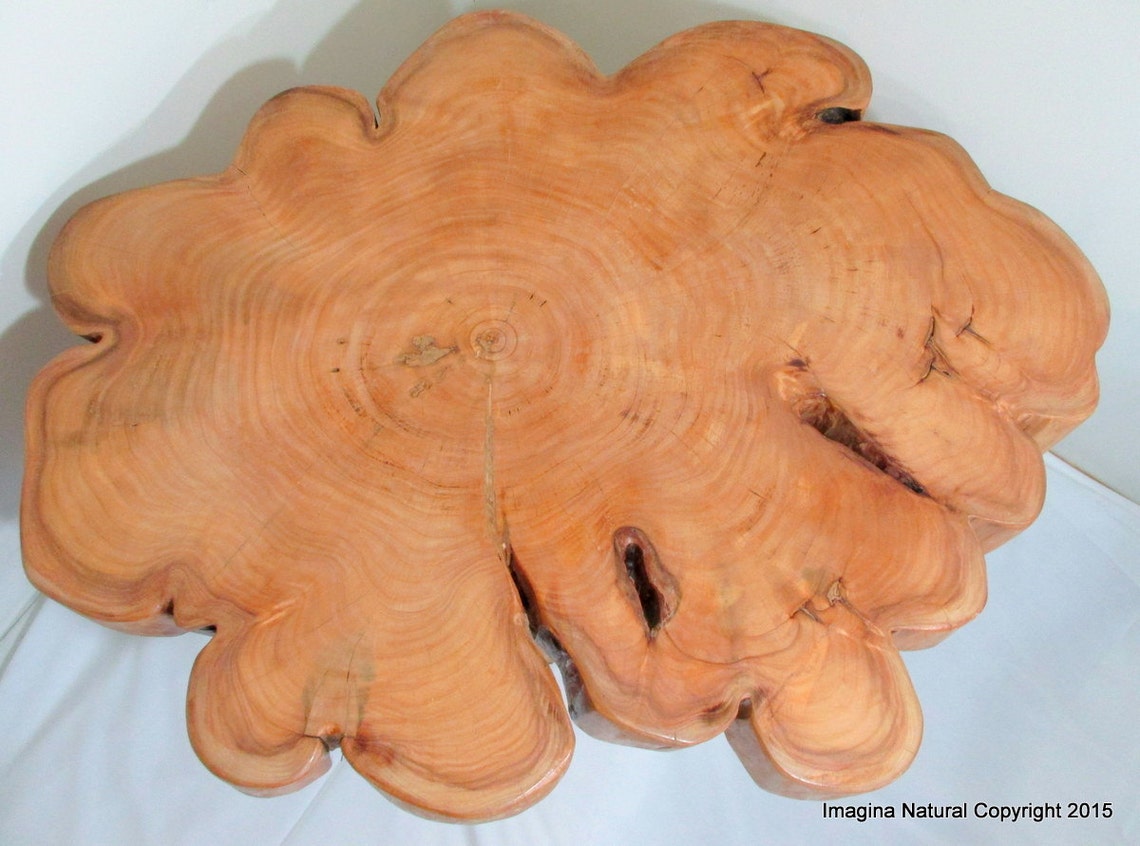 Made to Order - Naturally Unique Cypress Tree Trunk Handmade Coffee ...