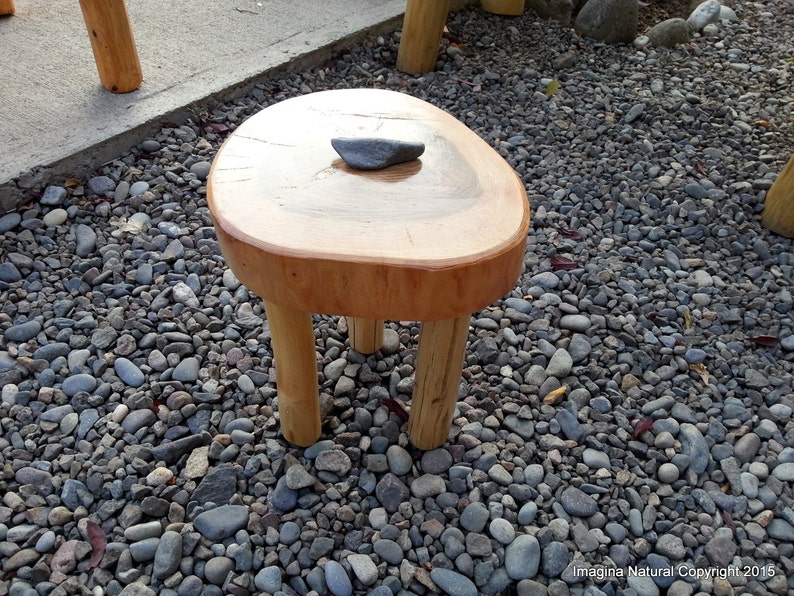 Childrens Stool / Mini Table Naturally Unique Cypress Tree Trunk ...