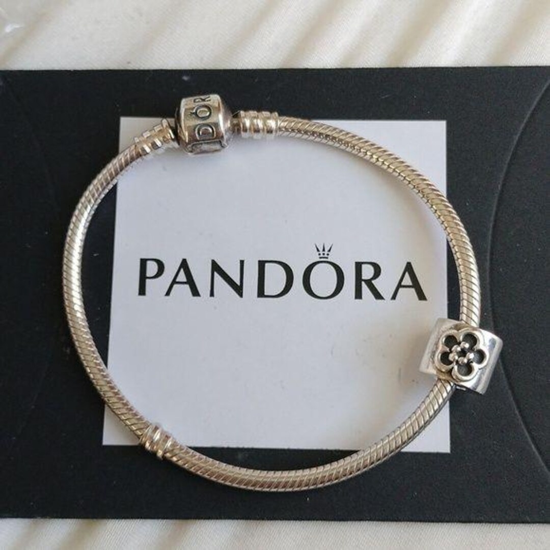 Pandora Sterling Silver Starter Snakechain Bracelet 7.5" W/daisy Flower ...