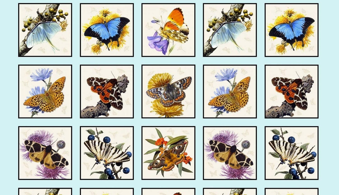 Elizabeth's Studio Butterflies & Moths Panel by Carl Brenders 24x43in ...