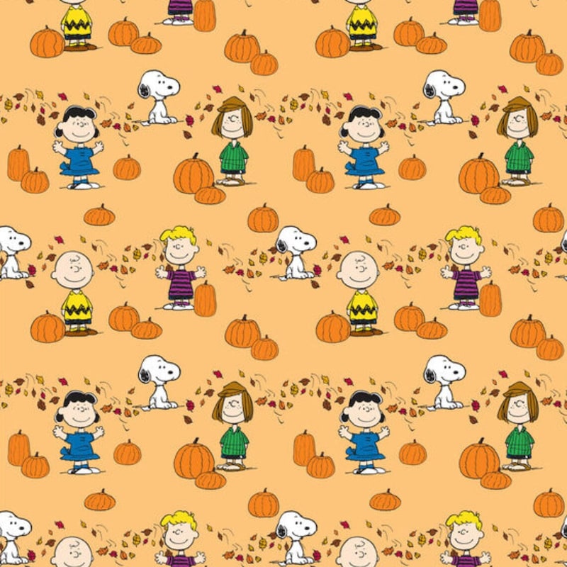 Charlie Brown Pumpkin Patch - Etsy
