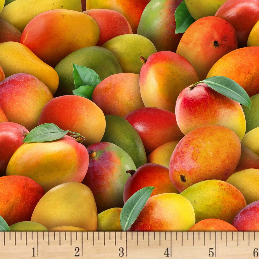 Elizabeth's Studio Food Festival Mangoes Multi Premium Quality 100% ...