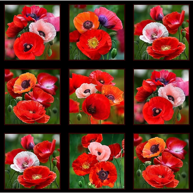 Poppy Fabric - Etsy