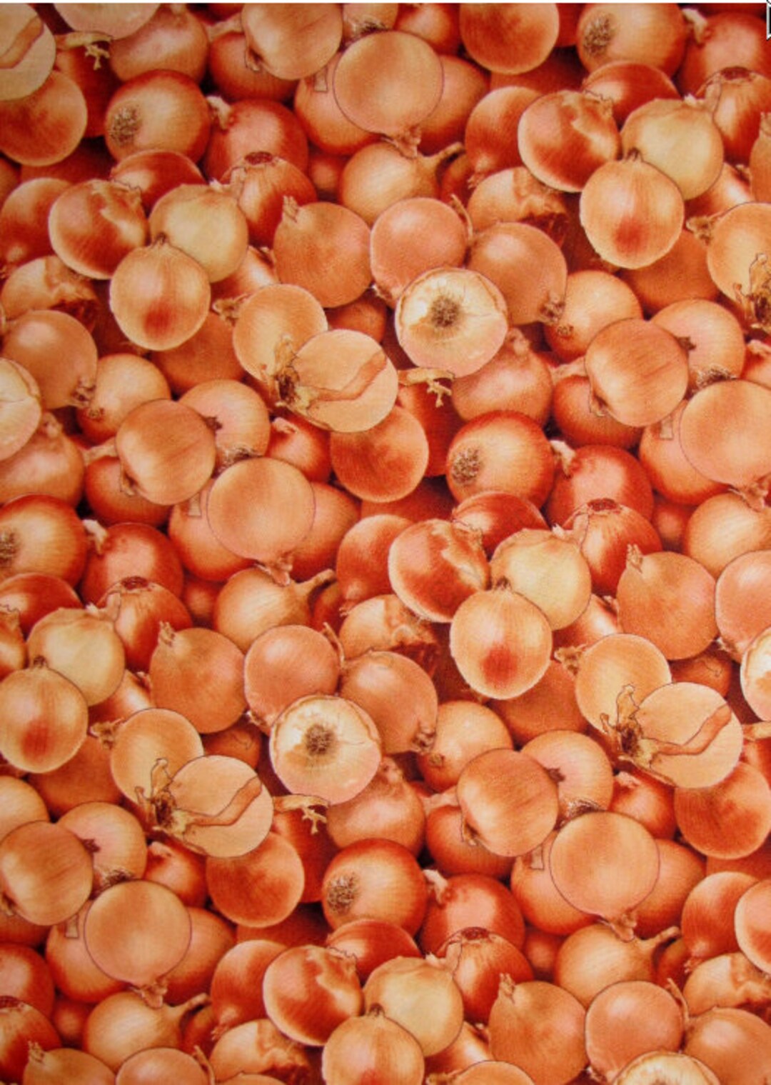 Elizabeth's Studio Onion Realistic Vegetable Fabric Collection Premium ...