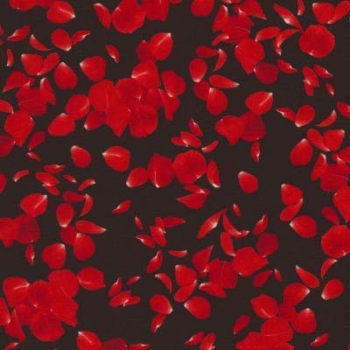 Timeless Treasures Glamour Rose Pedals Black Fabric Premium Quality 100 ...