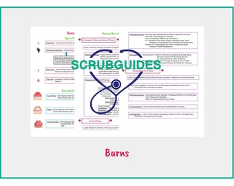 Burns Study Guide | Etsy