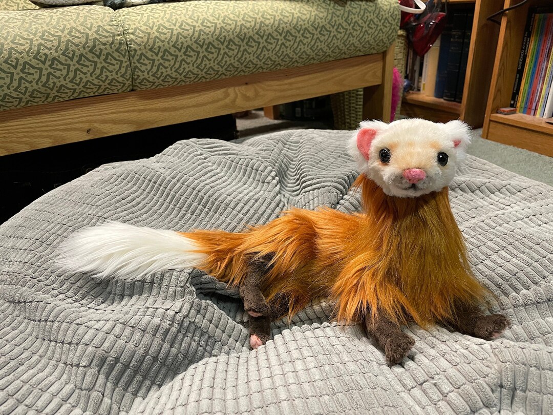 Malayan Weasel Realistic Handmade Plush - Etsy