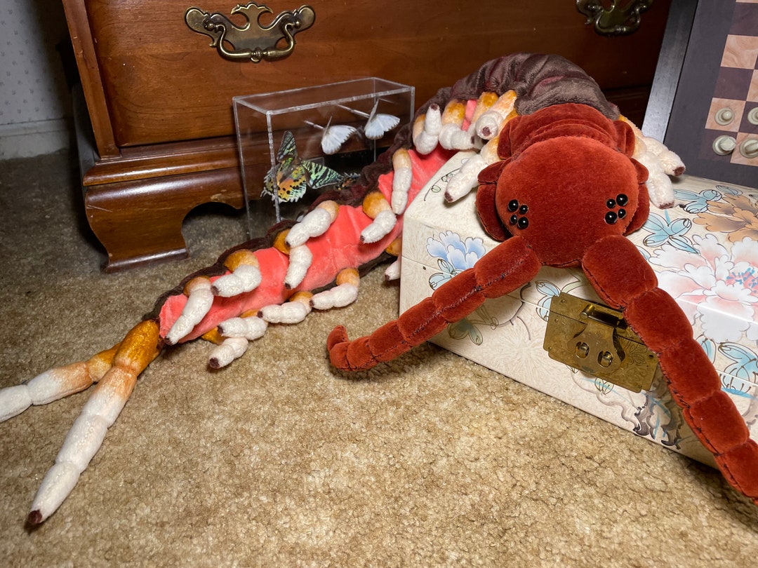 Realistic Centipede Plush Made to Order (fancy Variation) - Etsy Realistic Centipede Plush Made to Order (fancy Variation) - Etsy