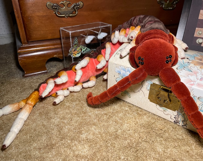 Realistic Centipede Plush Made to Order (fancy Variation) - Etsy