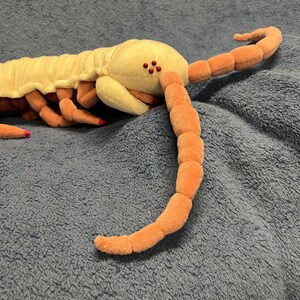 Plush Centipede albino Handmade - Etsy