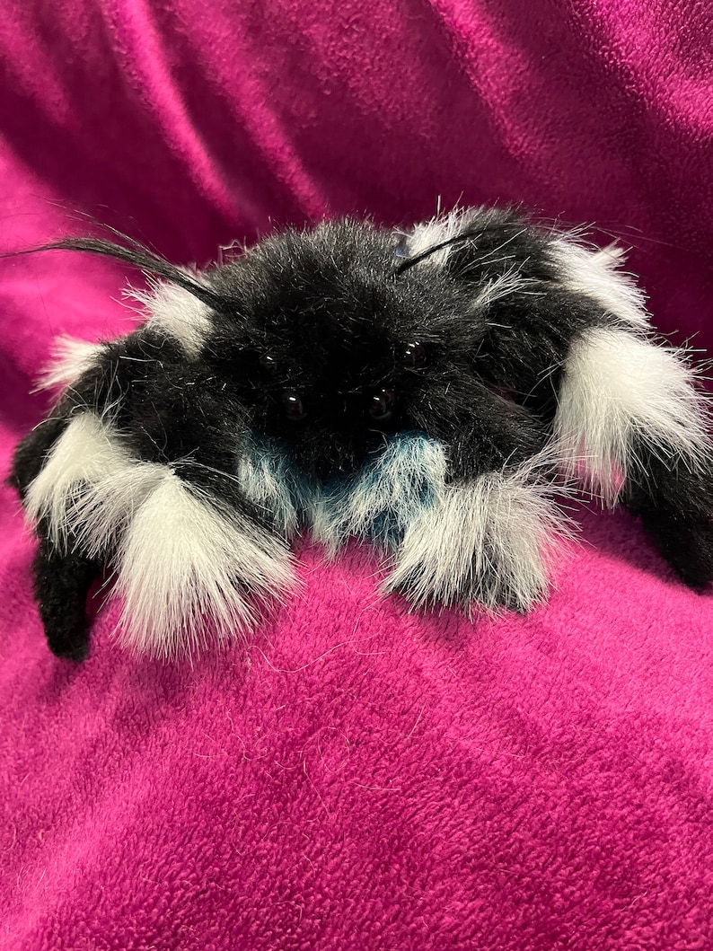 Bold Jumping Spider Plush Handmade - Etsy