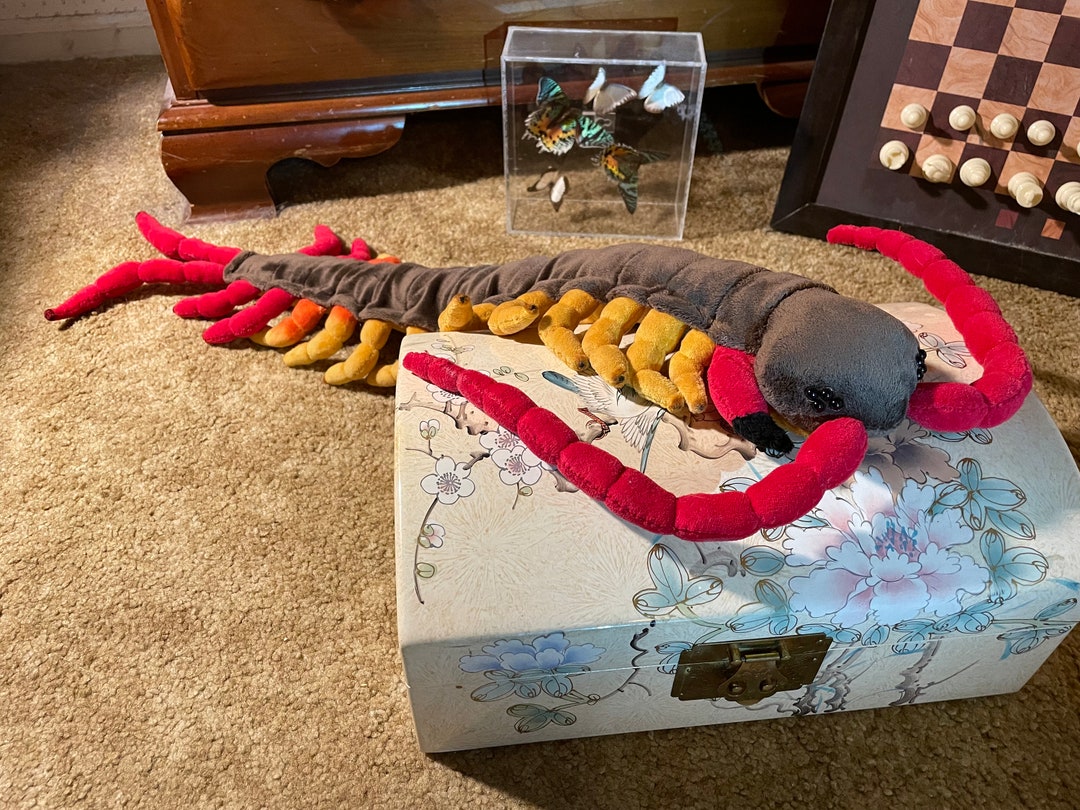 Realistic Centipede Plush Made to Order - Etsy
