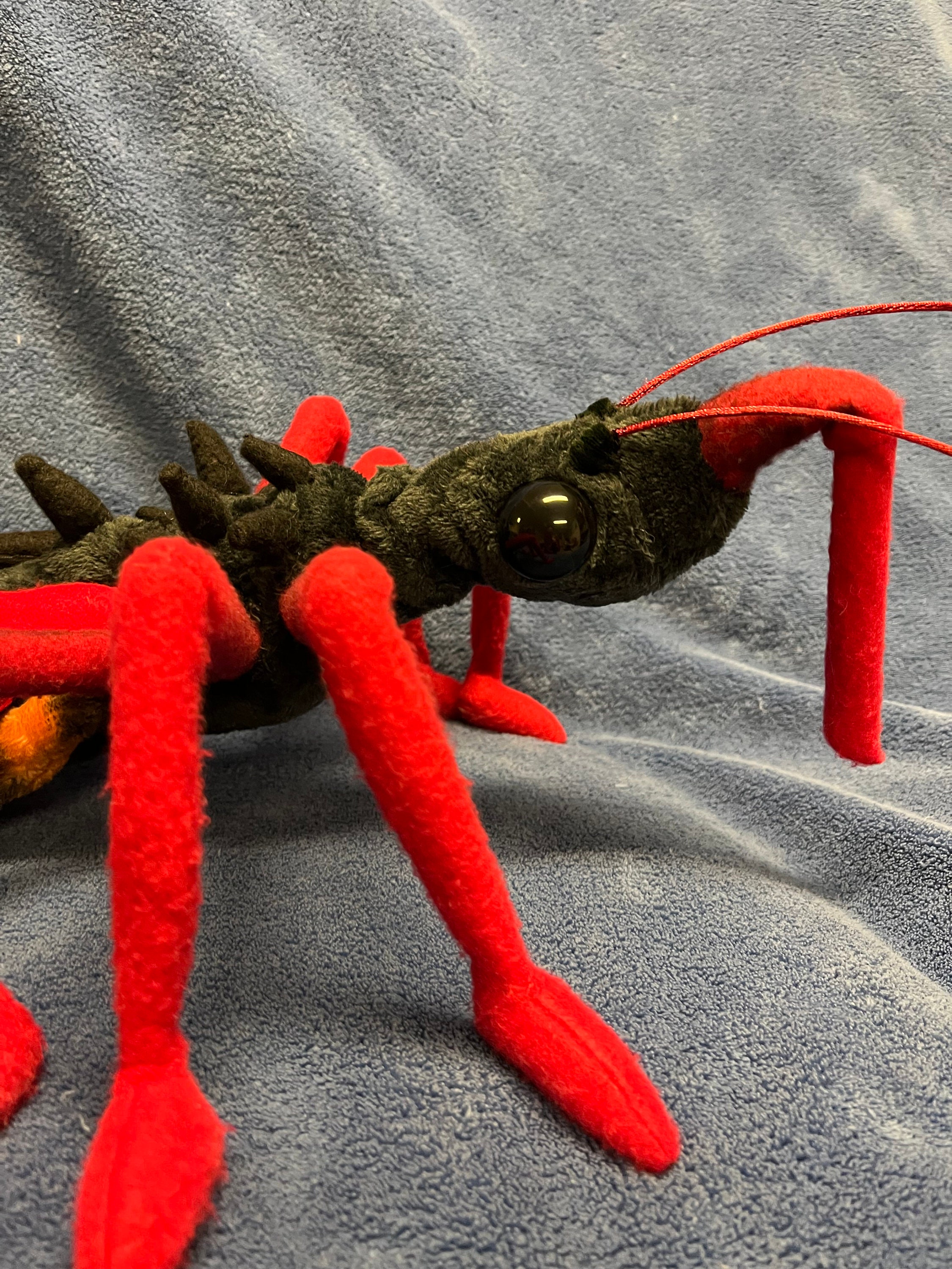 Horrid King Assassin Bug Handmade Plush - Etsy