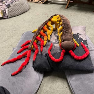 Realistic Centipede Plush Made to Order - Etsy