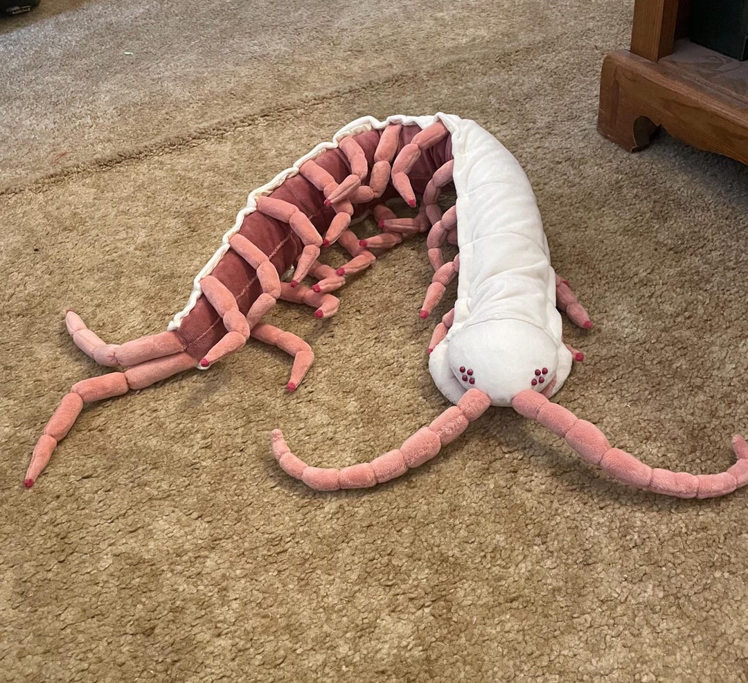 Plush Centipede (albino) Handmade - Etsy