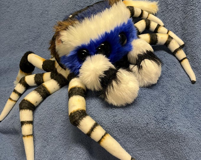 Blue Faced Peacock Jumping Spider Plush - Etsy