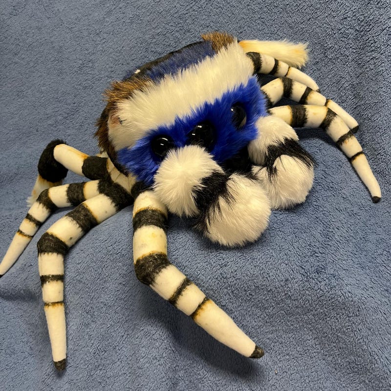 Spider Plush - Etsy