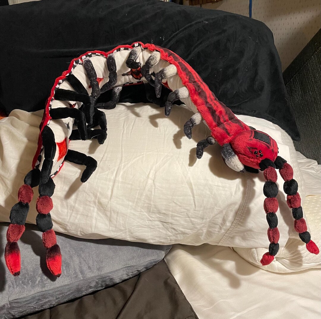 3ft Plush Centipede, Fantasy Colors - Etsy