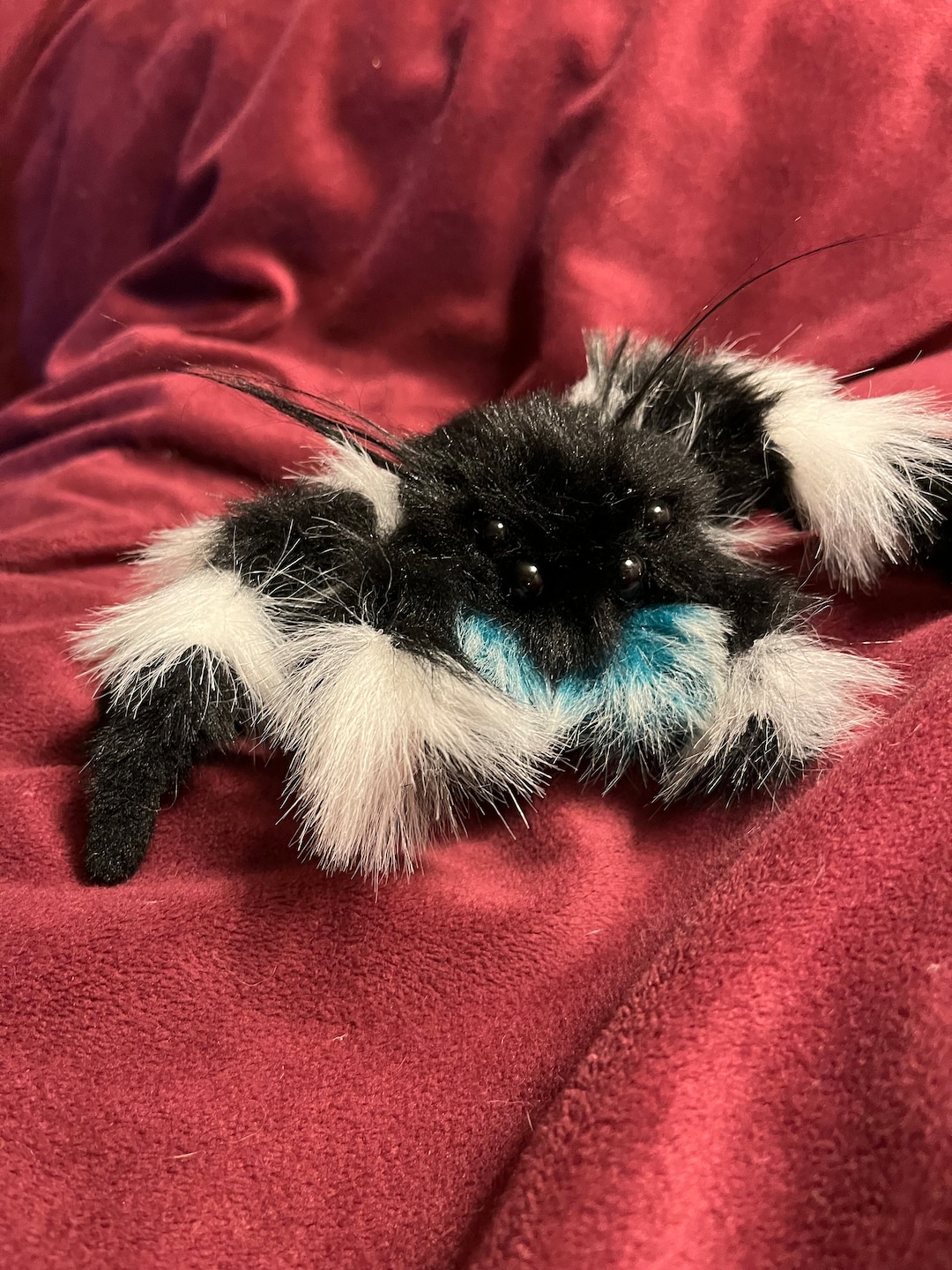 Bold Jumping Spider Plush Handmade - Etsy