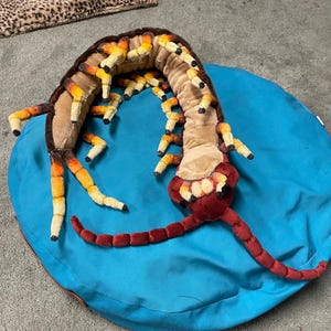 Realistic Centipede Plush Made to Order (fancy Variation) - Etsy