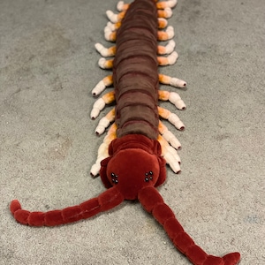 Realistic Centipede Plush Made to Order (fancy Variation) - Etsy