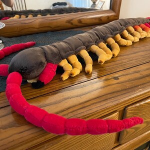 Realistic Centipede Plush Made to Order - Etsy